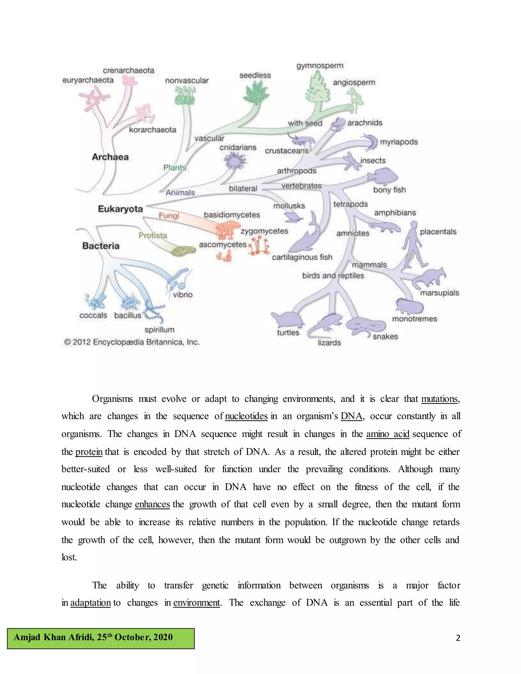 Microbial Evolution | DOCX
