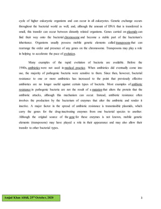 Microbial Evolution | DOCX