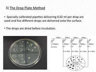 Microbiological examination of food | PPTX