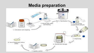 Microbial examination of milk^J meat and eggs group 1.pptx