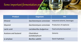 Microbial fermentation final | PPTX