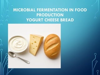 Microbial Fermentation in Food Production Yogurt Cheese Bread.pptx