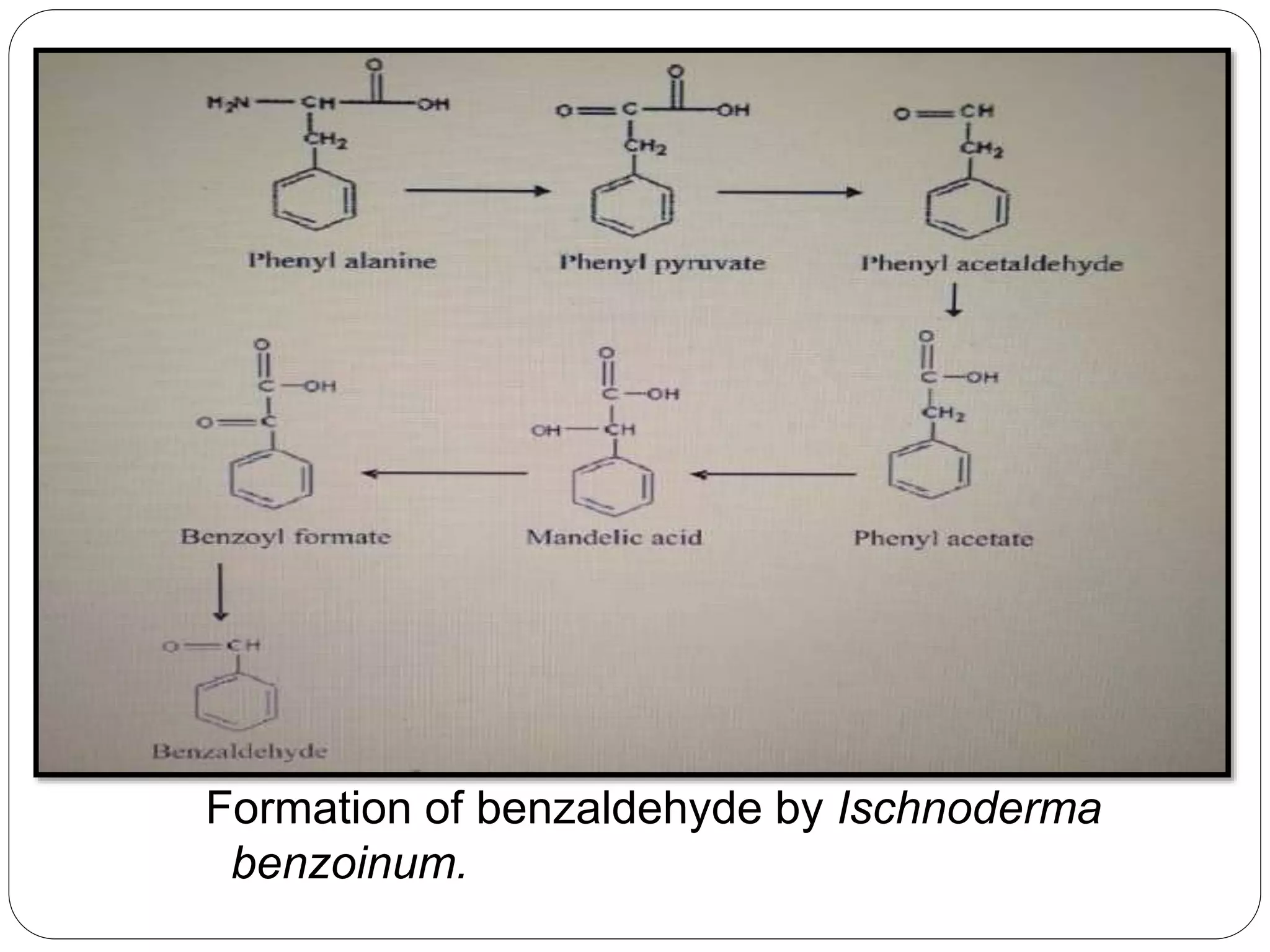 Microbial flavors production | PPTX