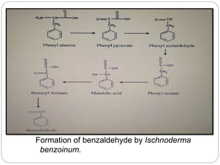 Microbial flavors production | PPTX