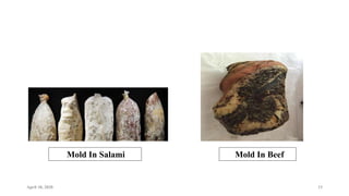 Microbial flora of meat and meat products | PPTX