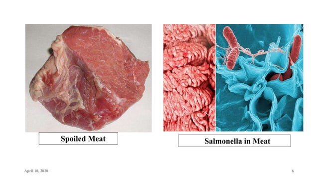 Microbial flora of meat and meat products | PPTX