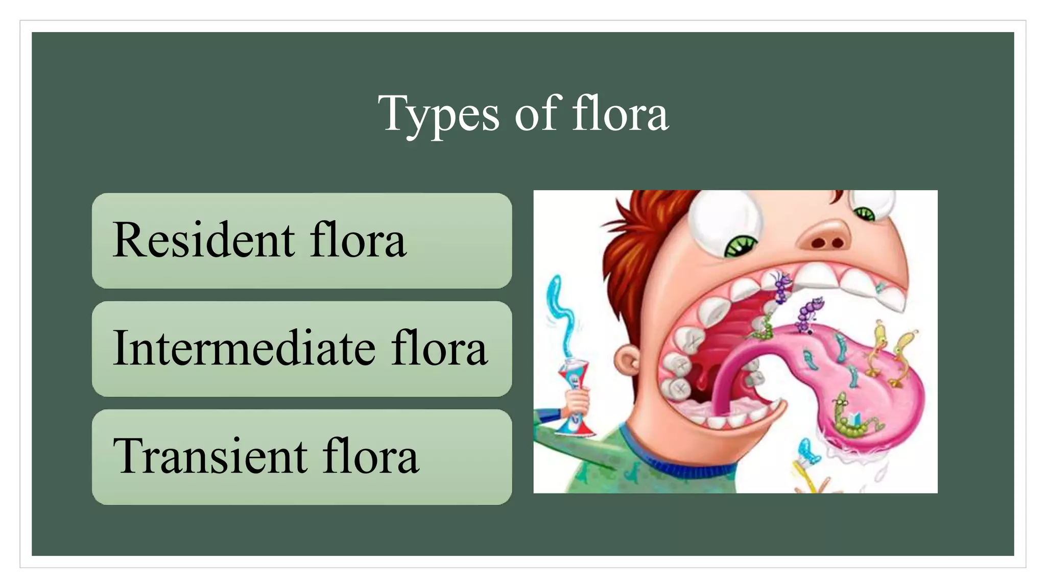 Microbial flora of oral cavity | PPTX