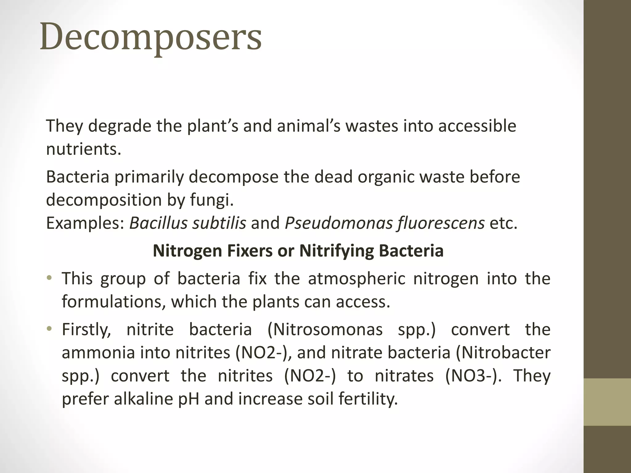 Microbial flora of soil | PPTX