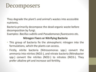 Microbial flora of soil | PPTX