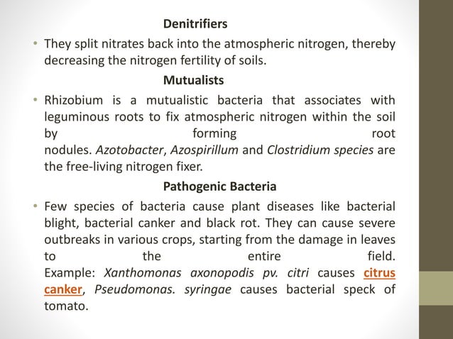 Microbial flora of soil | PPTX | Gardening | Home & Garden