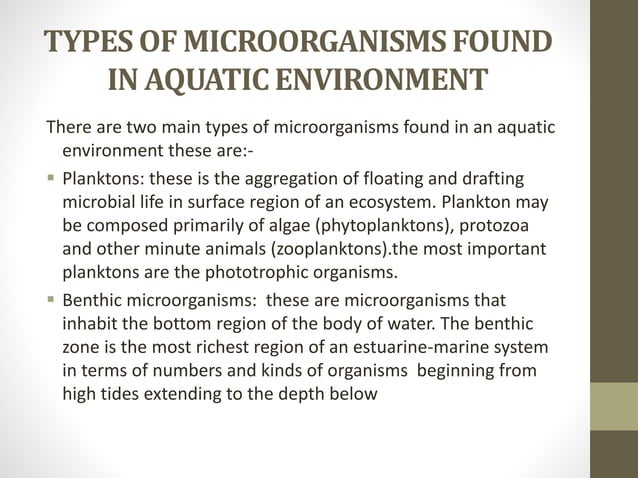 Microbial flora of the aquatic env | PPTX | Fish and Aquariums | Pets