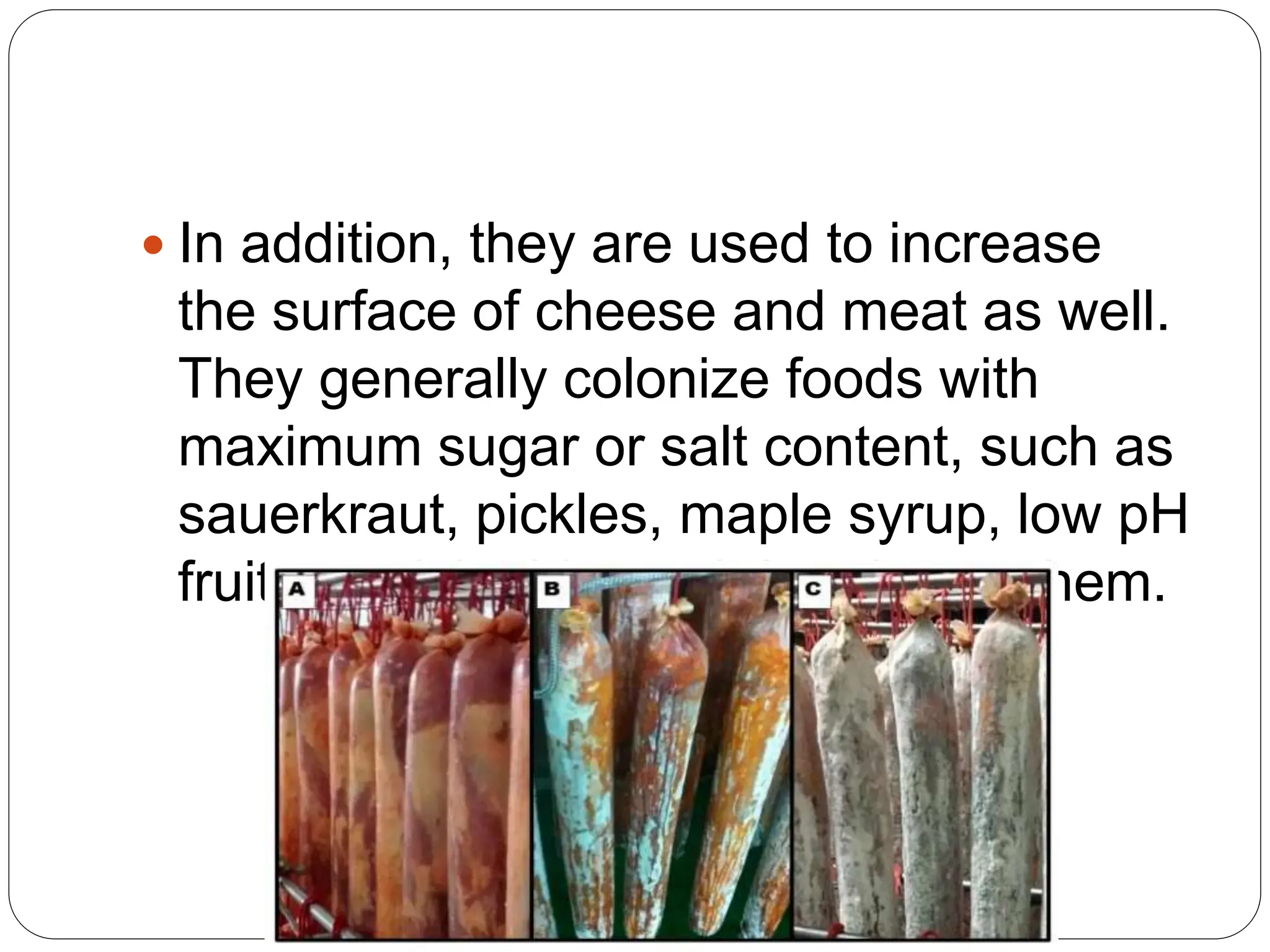 microbial food spoilage Growth and multiplication of micro organisms | PPTX