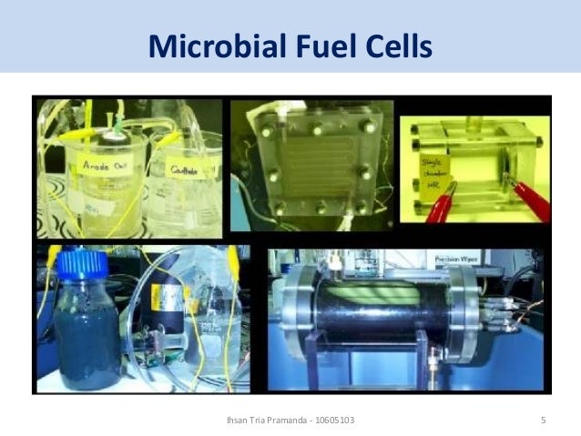 Microbial fuel cell