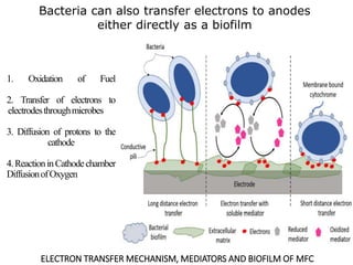 microbialfuelcell-231223111850-b30509b2.pptx