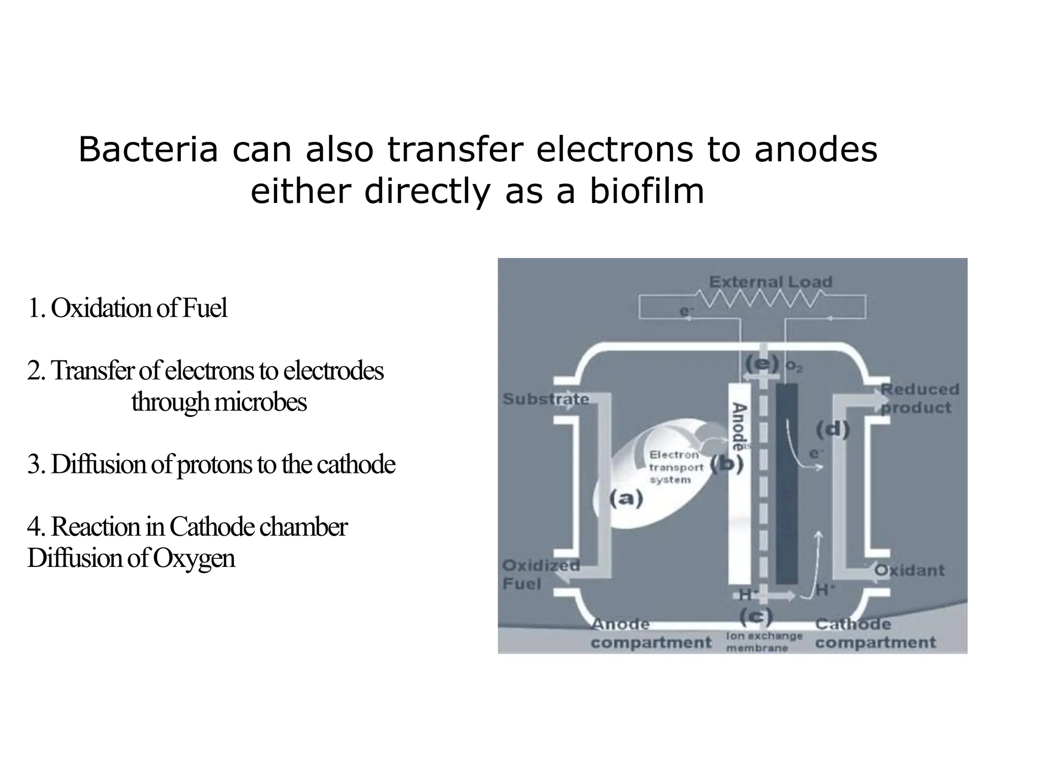 Microbial fuel cell.pptx