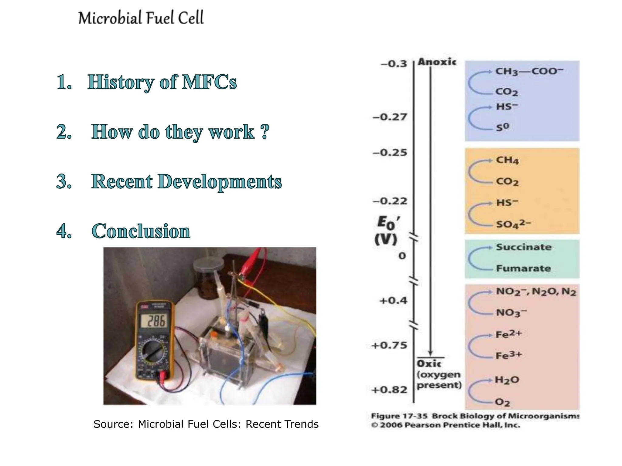 Microbial fuel cell.pptx