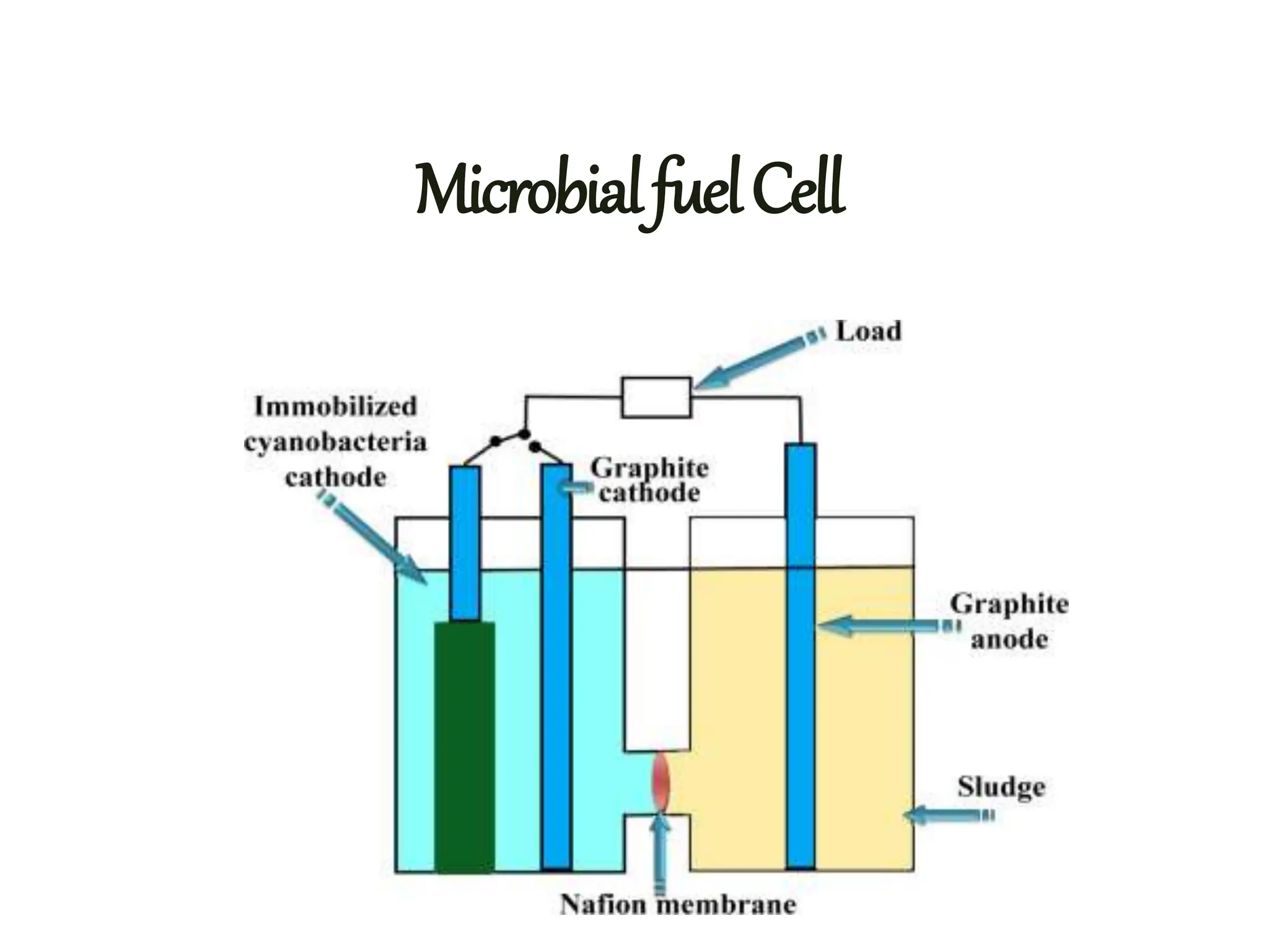 Microbial fuel cell.pptx