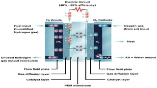 Micro bial fuel cell (modified) | PPTX