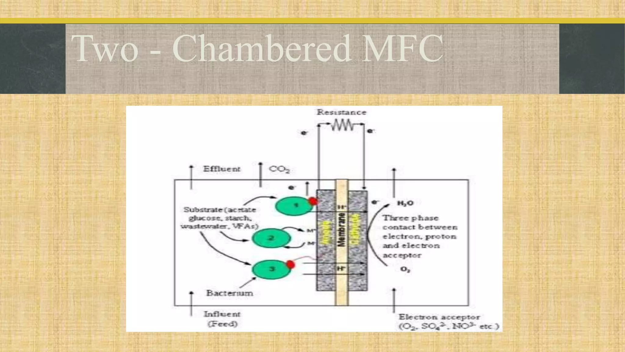 Microbial fuel cells | PPTX