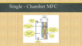 Microbial fuel cells | PPTX