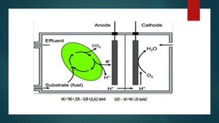 Microbial fuel cells | PPTX