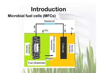 Microbial fuel cells | PPTX