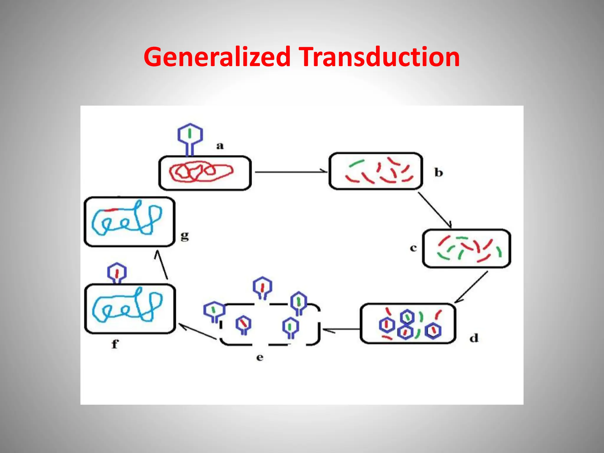 MODES OF MICROBIAL GENETIC RECOMBINATIONS.pptx