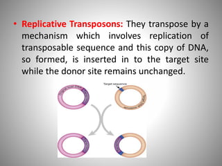 MODES OF MICROBIAL GENETIC RECOMBINATIONS.pptx
