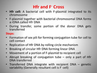 MODES OF MICROBIAL GENETIC RECOMBINATIONS.pptx