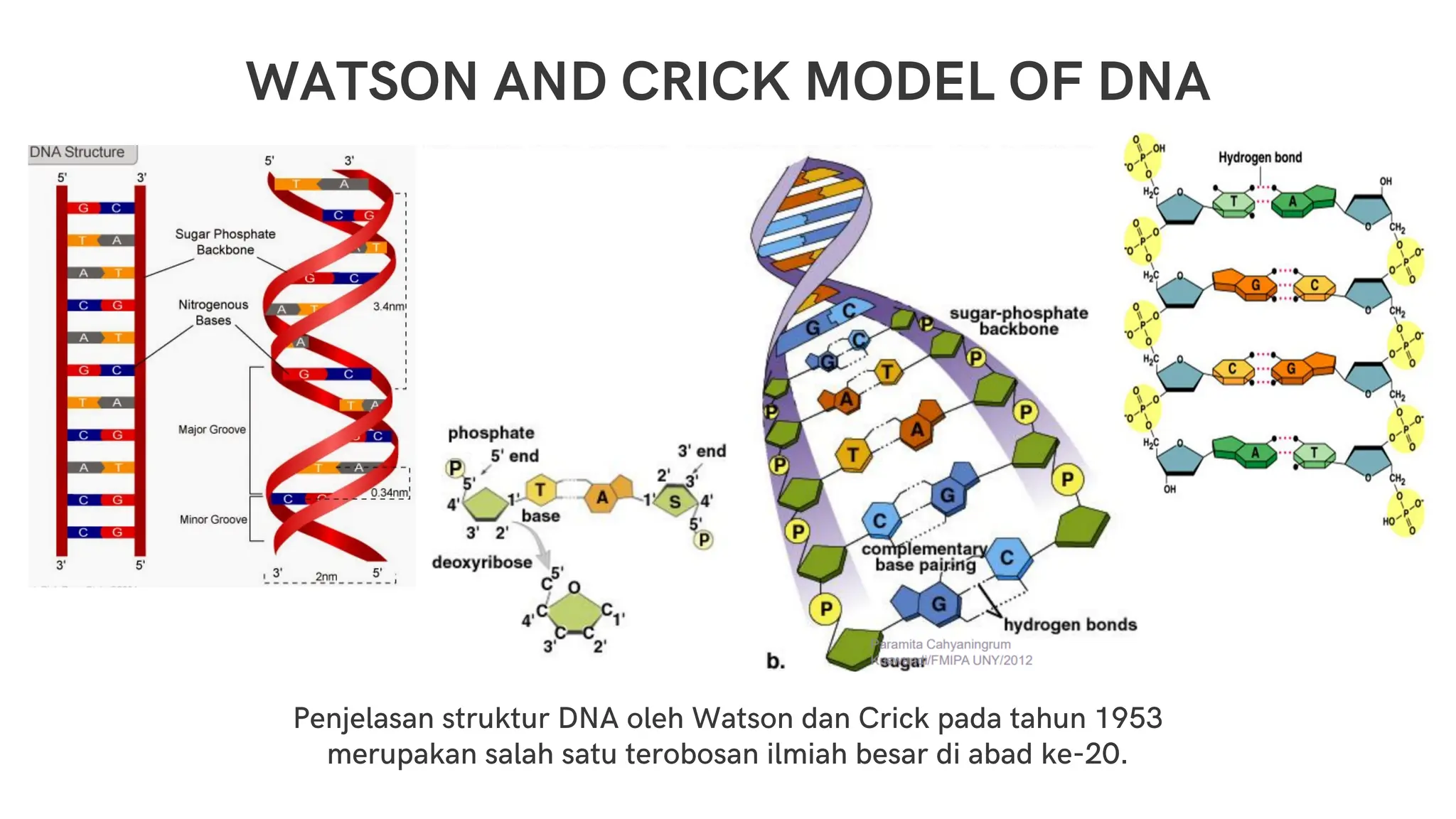 Microbial genetics from environmental area | PDF