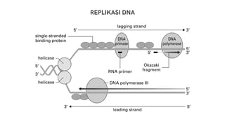 Microbial genetics from environmental area | PDF
