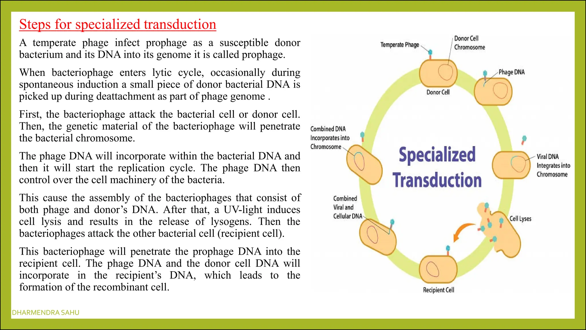 MICROBIAL GENETICS -tranformation and tranduction.pdf
