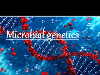 Microbial genetics 1.pptx
