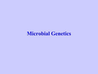 Microbial Genetics class.pptx class notes | PPTX