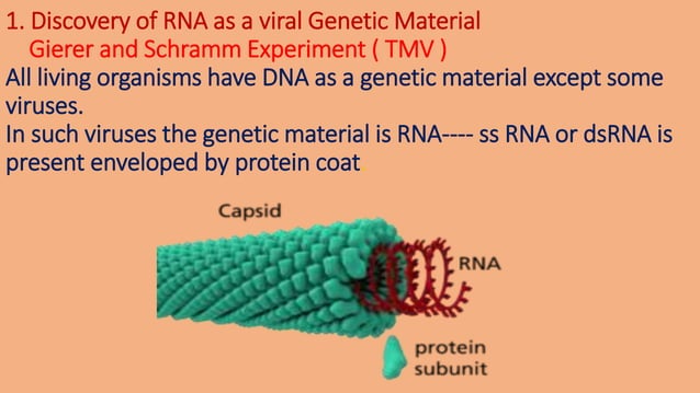 Microbial Genetics Lecture Iv Ppt