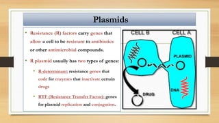 Microbial genetics lectures 19,20, and 21 | PPTX