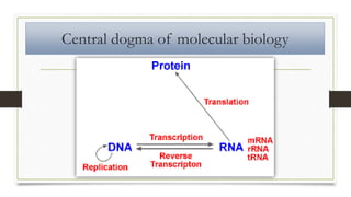 Microbial genetics lectures 4, 5, and 6 | PPTX