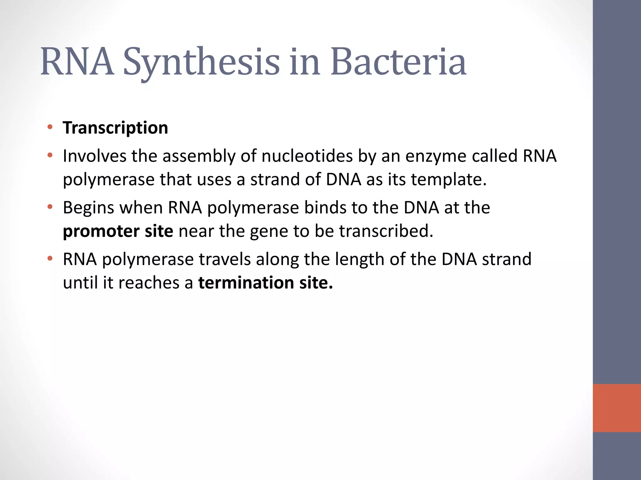 Microbial genetics microbiology ar | PPTX