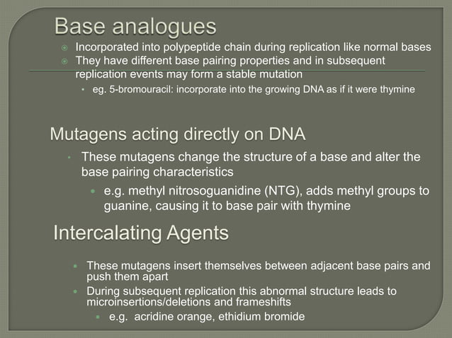 Microbial genetics mutation | PPTX | Biological Sciences | Science