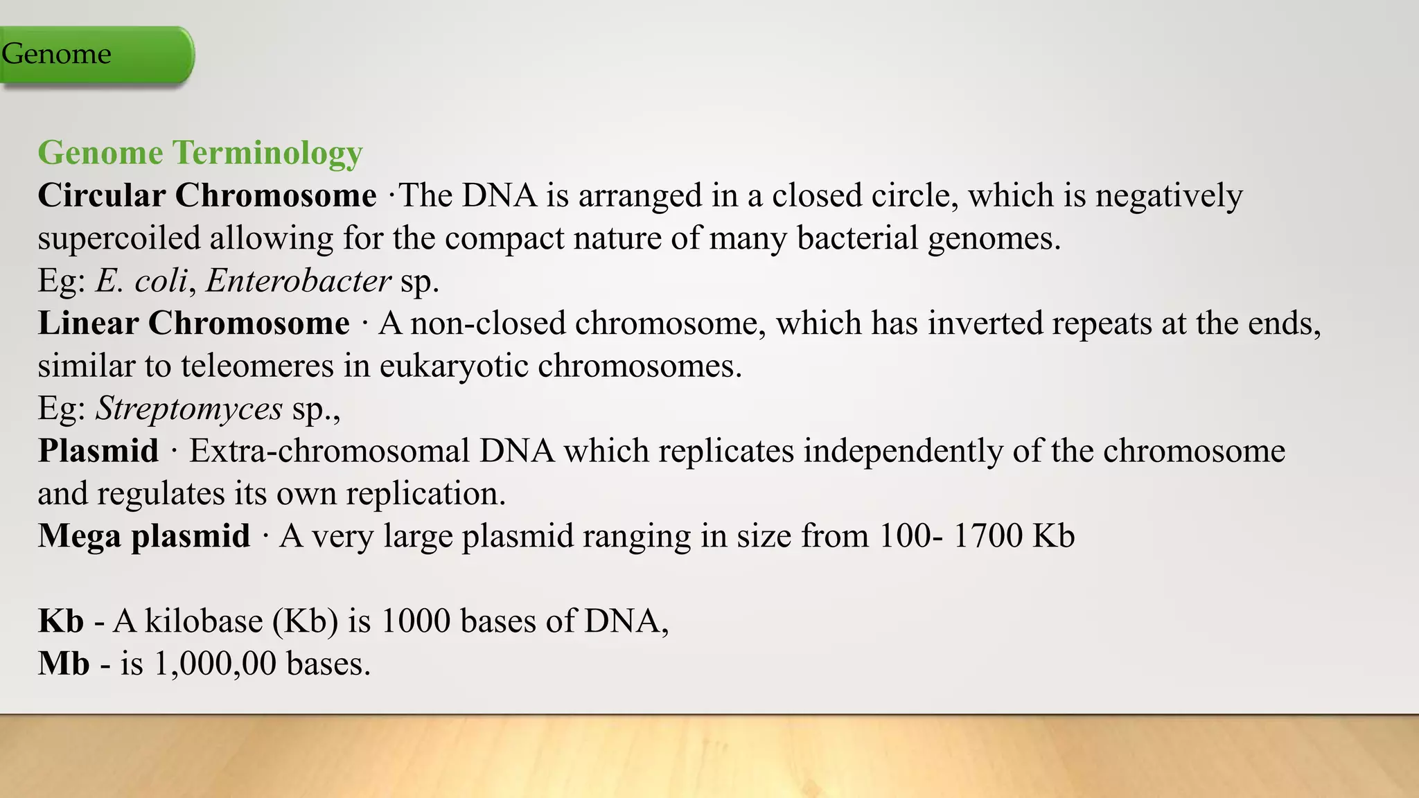 Microbial genomes.ppt