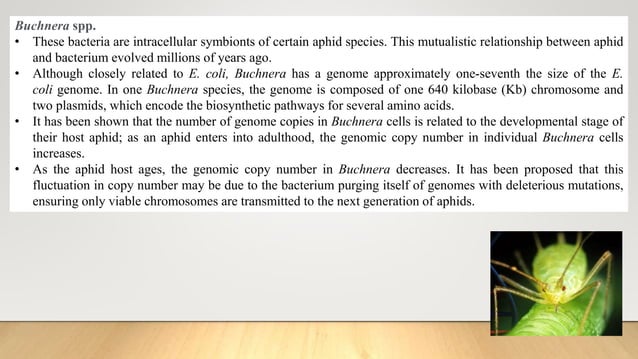 Microbial genomes.ppt