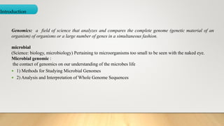 Microbial genomes.ppt