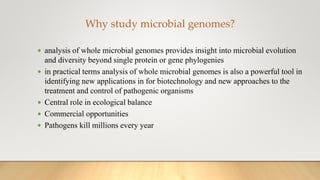 Microbial genomes.ppt
