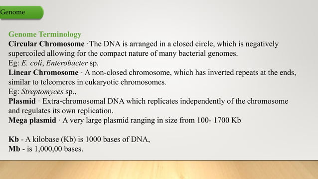 Microbial genomes.ppt