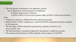 Microbial genomes.ppt