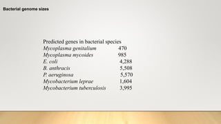 Microbial genomes.ppt