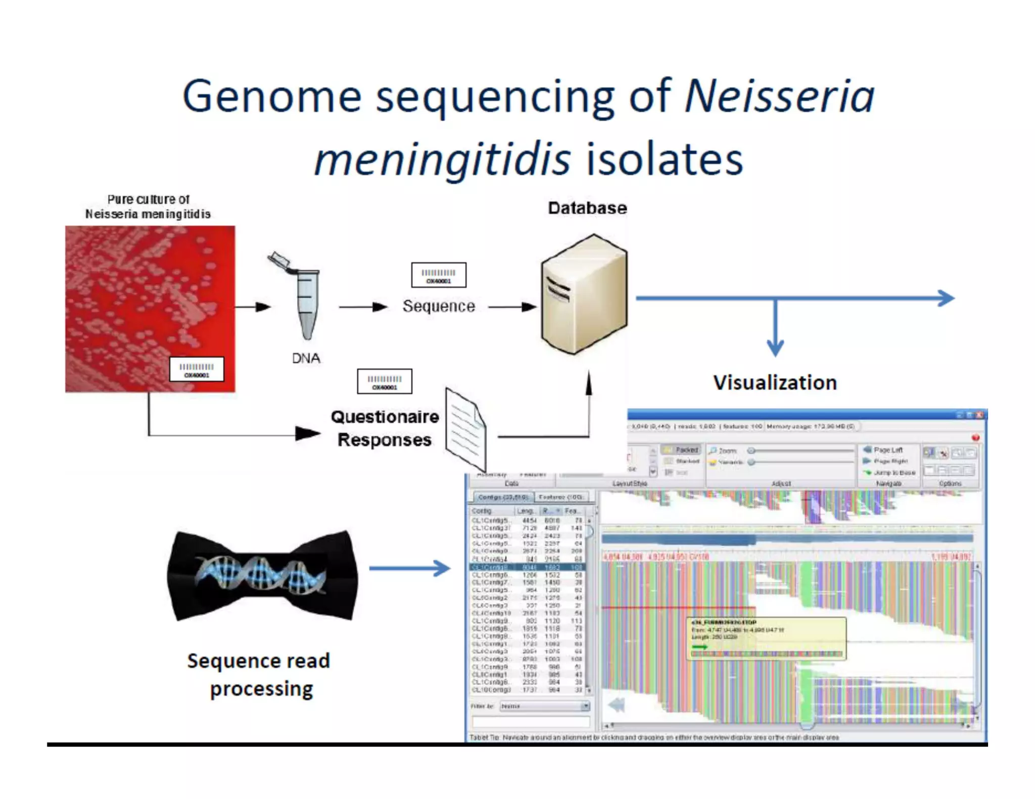 Microbial Genomics and Surveillance: An Overview Snapshot for a Layman ...