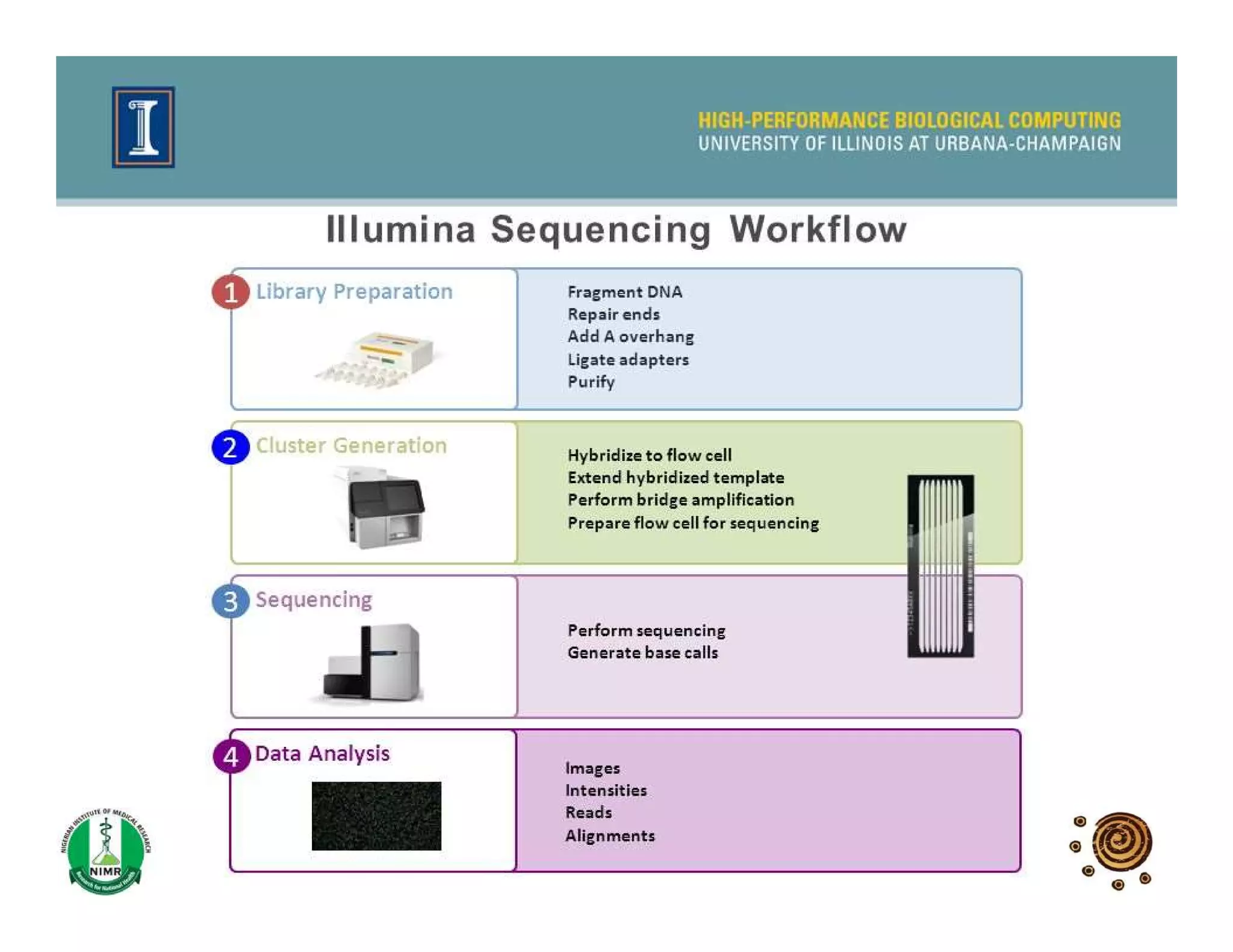 Microbial Genomics and Surveillance: An Overview Snapshot for a Layman ...