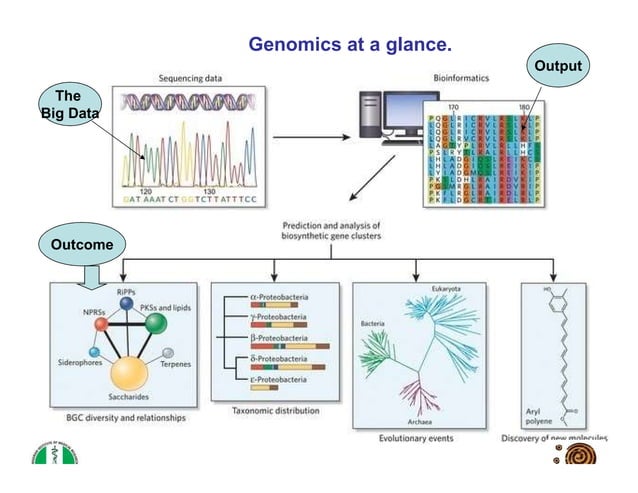 Microbial Genomics and Surveillance: An Overview Snapshot for a Layman ...