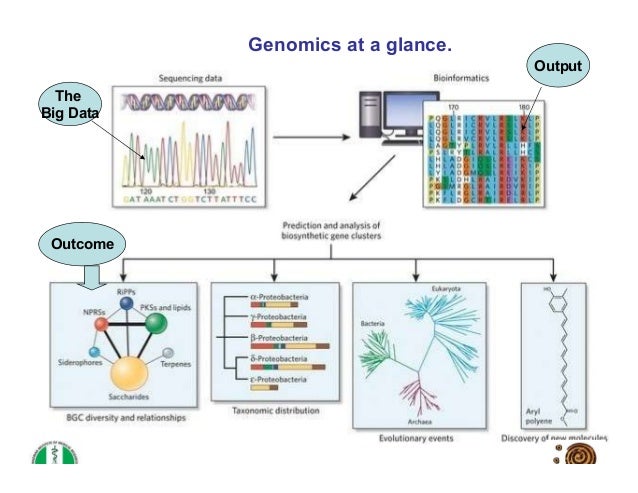 Microbial Genomics and Surveillance: An Overview Snapshot for a Layma…